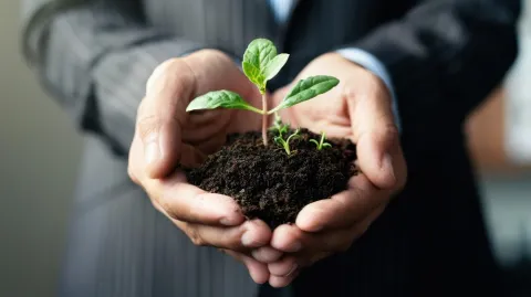 Sustainable business growth as a way to contribute to UCB successful ...